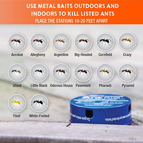 Homeplus™ Ant Killer AB , Metal Ant Bait, Ants Killer for House, Ant ...