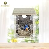 Window View Bird Nest Box
