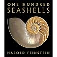 One Hundred Seashells: Feinstein, Harold, Eddison, Sydney ...