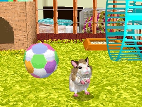 Hamsterz Life - Nintendo DS Countdown