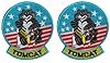 2pcs TOP Gun Movie Maverick Goose F-14 Tomcat Navy Fighter Squadron ...