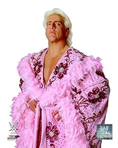 Ric Flair - WWE 11x14 Photo wearing pink robe: Amazon.ca: Home & Kitchen