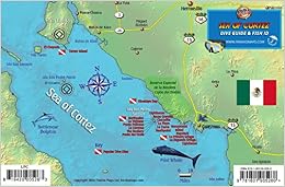 Central Sea of Cortez Mexico Dive Map & Reef Creatures Guide Franko ...
