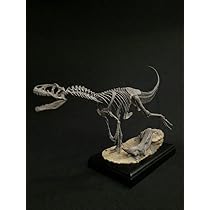 Allosaurus Skeleton Model