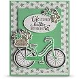 Amazon.com : 4.8x4inch Bicycle Flower Clear Stamp and Dies Set Die Cuts ...