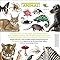 The Animal Book: A Visual Encyclopedia of Life on Earth: Amazon.co.uk ...