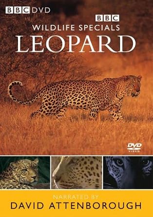 BBC Wildlife Specials: Leopard [DVD]: Amazon.co.uk: David Attenborough ...