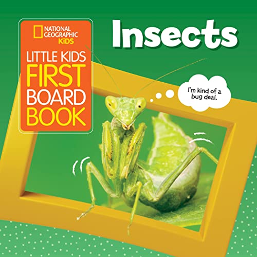 Little Kids First Board Book: Insects: Musgrave, Ruth: 9781426339028 ...