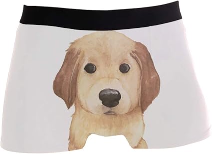 Calzoncillos calzones para hombre con diseño de perro dorado Retriever ...