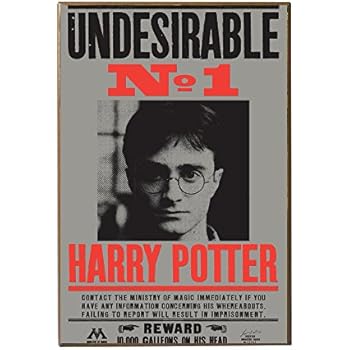 Amazon.com: Silver Buffalo HP9636 Harry Potter Undesirable No. 1 ...