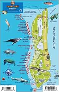 Grand Turk Dive Map - Turks & Caicos Reef Creatures Guide Franko Maps ...