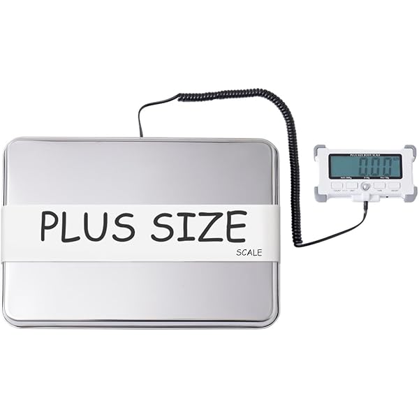 Seca 664 Digital Wheelchair Scale