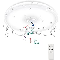 Upgrade Waterproof Ceiling Light LED Music Ceiling Lamp,with Bluetooth ...