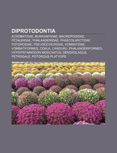 Diprotodontia: Acrobatidae, Burramyidae, Macropodidae, Petauridae ...