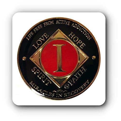 Amazon.com: 1 Year NA Coin Gold Plated Medallion, Recovery Chip, 12 ...