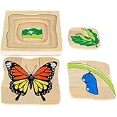 Amazon.com: Montessori Frog Life-Cycle Puzzle : Toys & Games