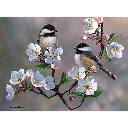 Spring Jigsaw Puzzles | Jigsaw Puzzles For Adults