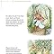 Beatrix Potter - Sämtliche Geschichten von Peter Hase und seinen ...