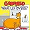 Amazon.com: Garfield What Leftovers?: His 71st Book: 9780593156445 ...