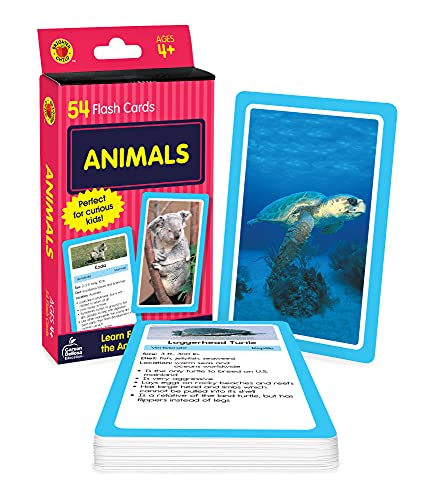Buy Carson Dellosa Animal Flash Cards, Animal Flash Cards for Toddlers ...