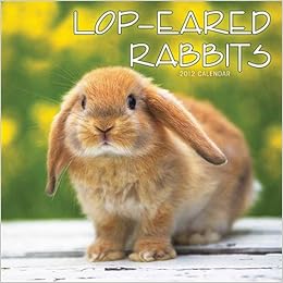 Lop Eared Rabbits 2012: Amazon.co.uk: Misc: 9780857223289: Books