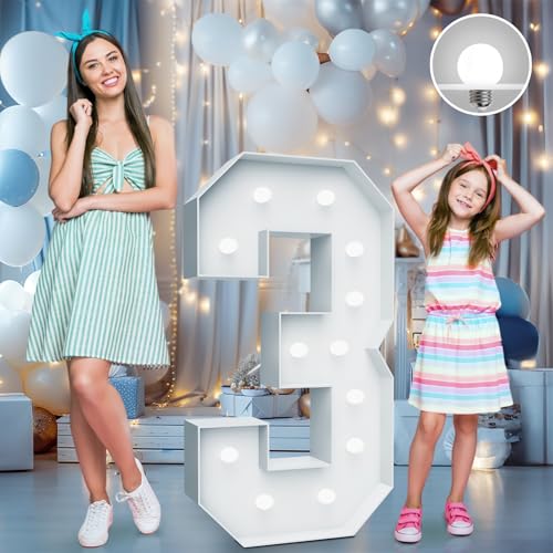 2FT Marquee Light Up Numbers - Cool White Light Up Numbers 3 with Fixed ...