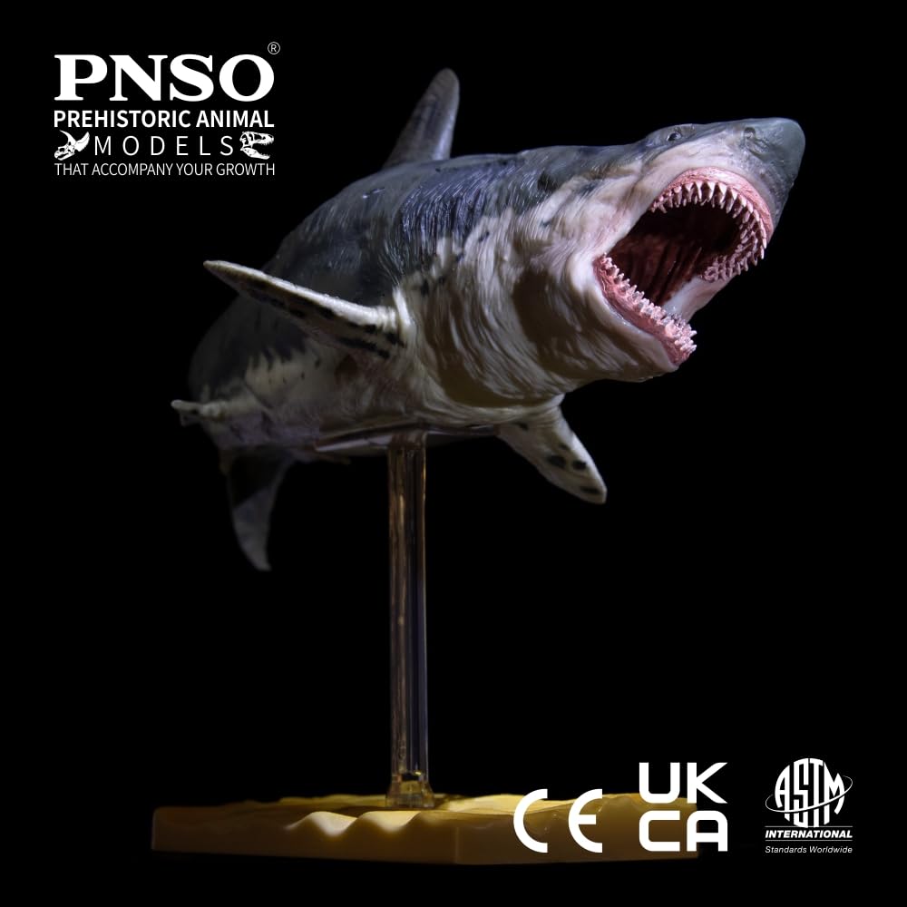 Mua PNSO Prehistoric Animal Model: Megalodon Patton (Big White Shark ...