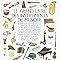 Le Grand livre des instruments de musique: Amazon.fr: Pronto: Livres