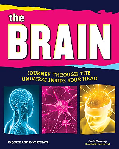 Amazon.com: The Brain: Journey Through the Universe Inside Your Head ...