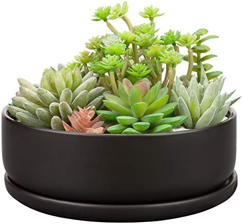 MyGift Succulent Bowl Planter, 8 Inch Ceramic Dark Brown Shallow Plant ...
