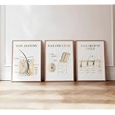Amazon.com: Home Decor Wall Art 3 Pieces Hair Anatomy Poster Hair ...