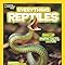 National Geographic Kids Everything Reptiles: Snap Up All the Photos ...