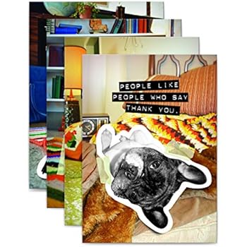 Amazon.com : Someecards Assorted Thank You Greeting Cards - Pack of 5 ...