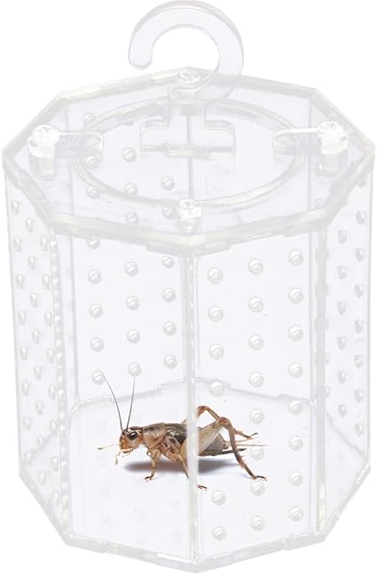 Amazon.com : Pearlead Acrylic Octagonal Insect Cage with Hook, Hanging ...