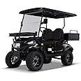 Amazon.com: Kandi America 2 Passenger Electric Cart with Powerful 5,000 ...
