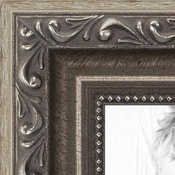 Amazon.com - One 16x20 Ornate Heritage Silver Picture Frame and Clear ...