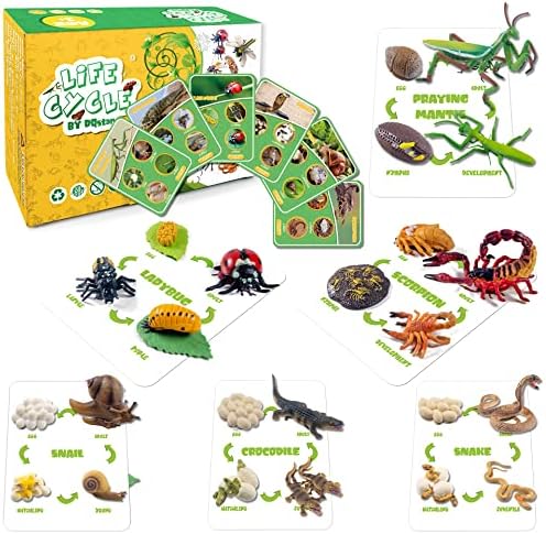سعر Life Cycle Figures of Praying Mantis, Crocodile, Ladybug, Snails ...