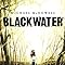 Blackwater: The Complete Saga: McDowell, Michael, Ballingrud, Nathan: 9781943910816: Amazon.com ...