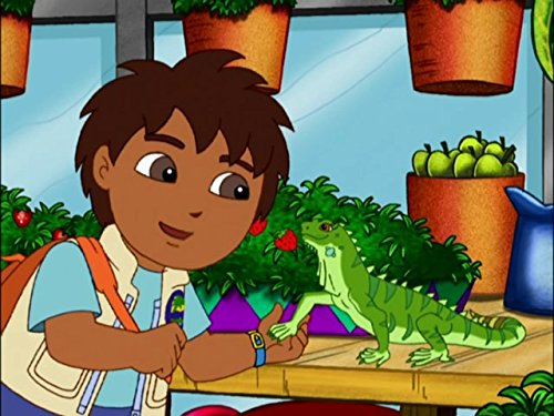 Watch Go, Diego, Go! - Season 3 | Prime Video