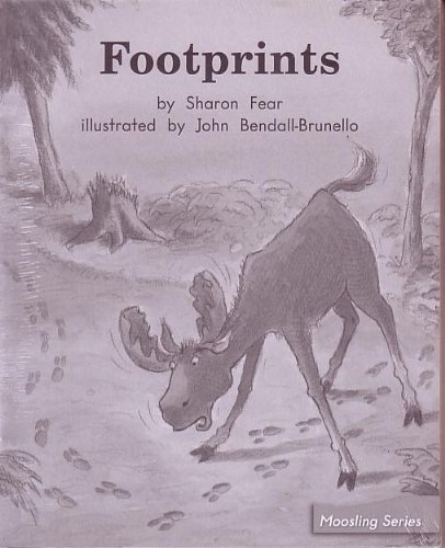 Footprints; Leveled Literacy Intervention My Take-Home 6 Pak Books ...