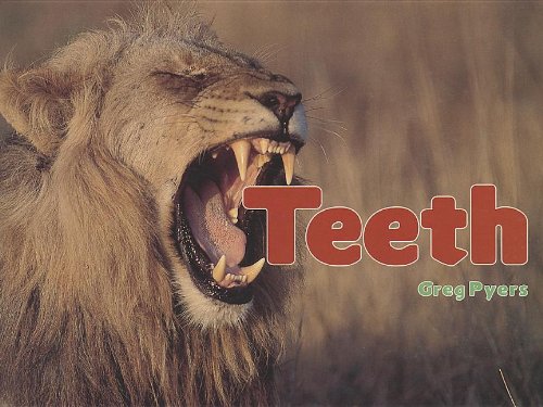 Rigby PM Plus: Individual Student Edition Gold (Reading Level M ...