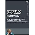 Amazon.com: Patterns of Attachment (Psychology Press & Routledge ...