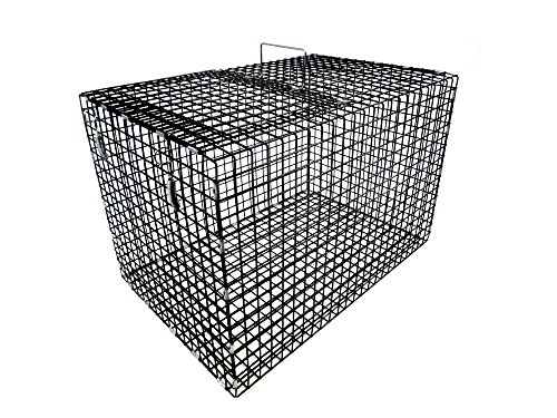 Tomahawk Model 402.4 - Medium Size Coated Fish Live Box - MasterBasser