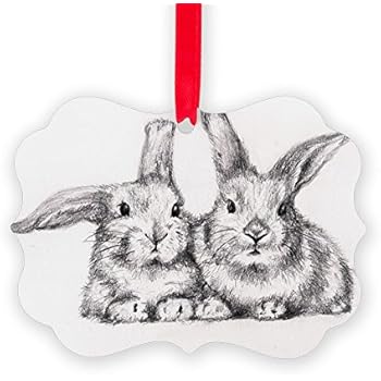 Amazon.com: Conversation Concepts Rabbit Black & White Gift Box Red ...