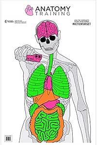 Amazon.com : Action Target - Anatomy Training Target - Paper Targets ...