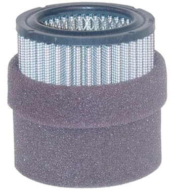 Solberg 19P, Replacement Polyester Filter Element with Prefilter, 4-3/4 ...