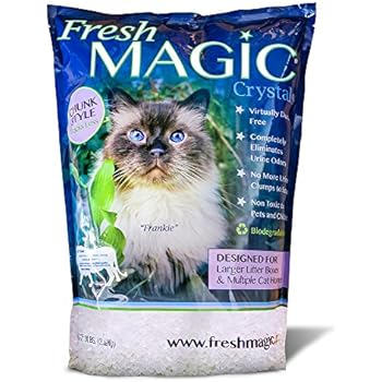 Amazon.com : 6 Pack Nosorb Non Absorbent Cat Litter Urine Test Cup ...