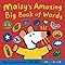 Maisy's Amazing Big Book of Words: Amazon.co.uk: Lucy Cousins: Books