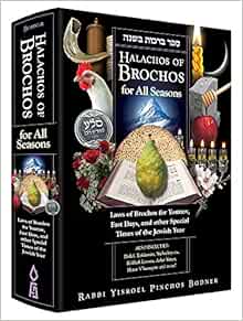 Halachos of Brachos for all Seasons: Laws of Brochos for Yomtov, Fast ...