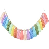 Amazon.com: DrCor Pastel Rainbow Tassel Garland Colorful Banner for ...